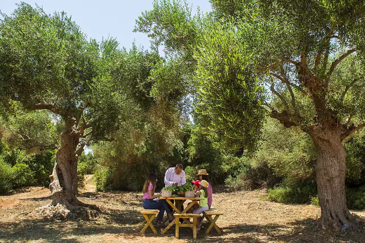 The Mandarin Oriental’s First Resort in Greece